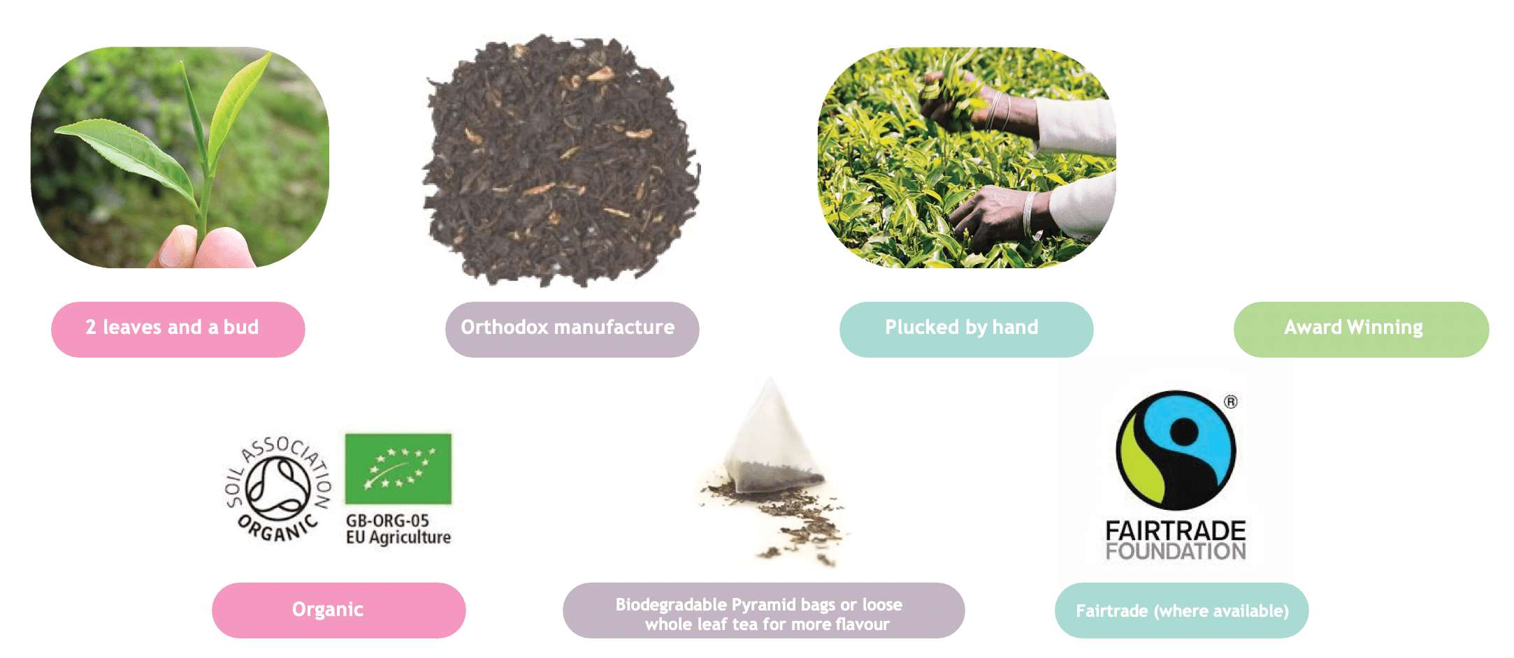 special-tea - Hope and Glory
