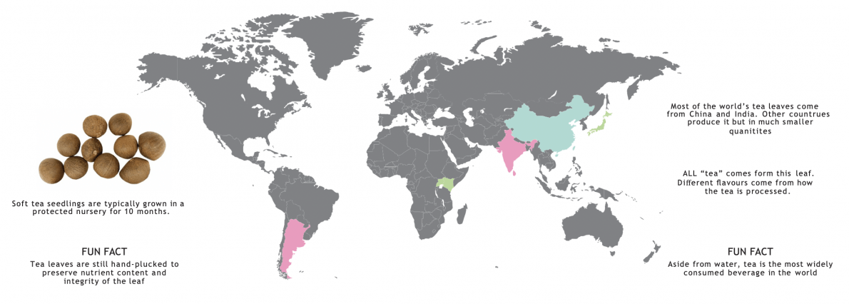 tea-map - Hope and Glory